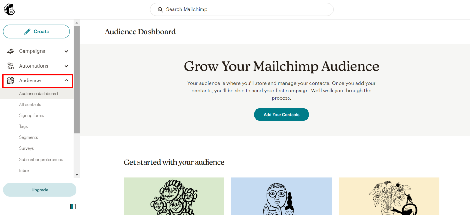 Creating Segments in Mailchimp Campaign: Ultimate Steps